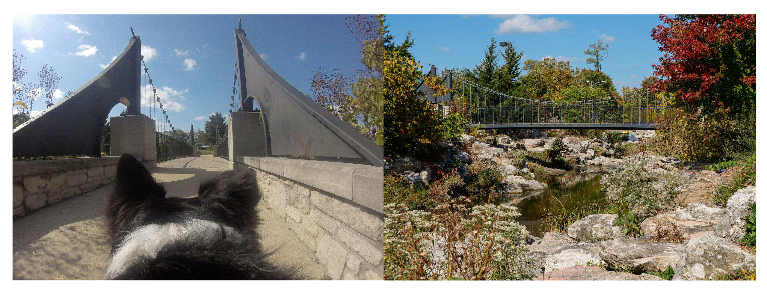 Photo Essay Final – Alexandria Wells Photography